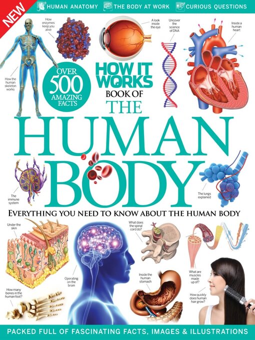 Libby - How It Works: Book of The Human Body